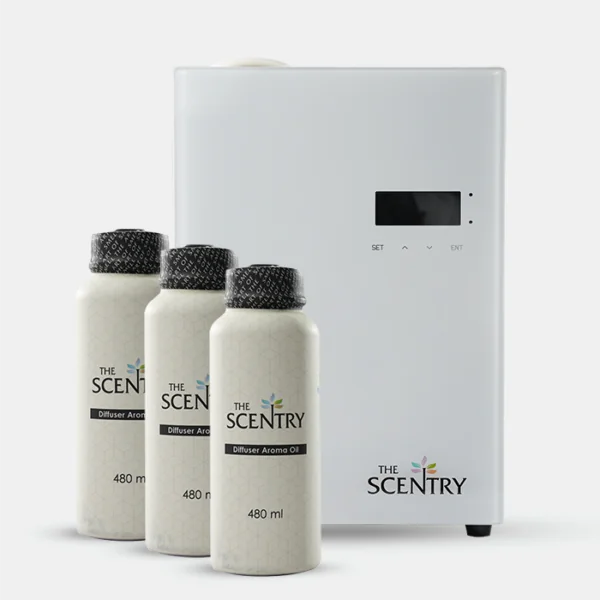 Premium Large Diffuser + 3 fragrance oil (480ml) - The Scentry | The ...